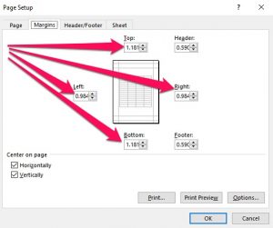 Excel VBA Print: 2 Examples To Quickly Setup, Print Or Print Preview